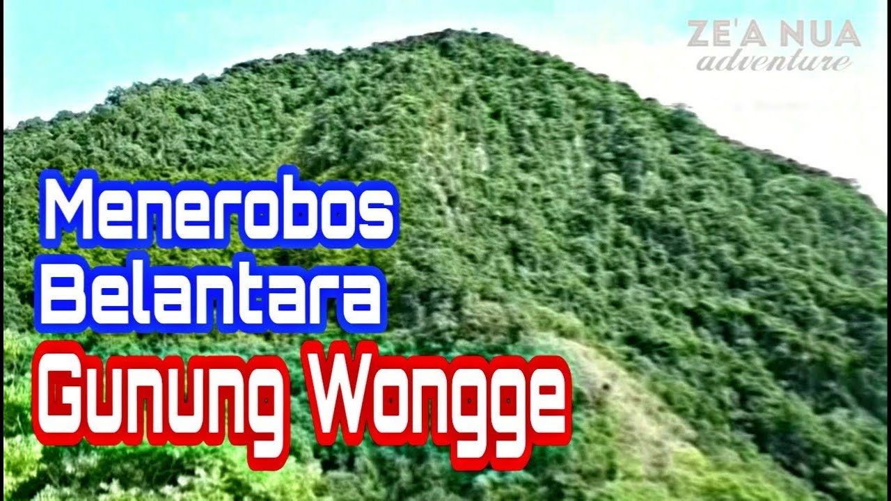 Mendaki Gunung Wongge - YouTube