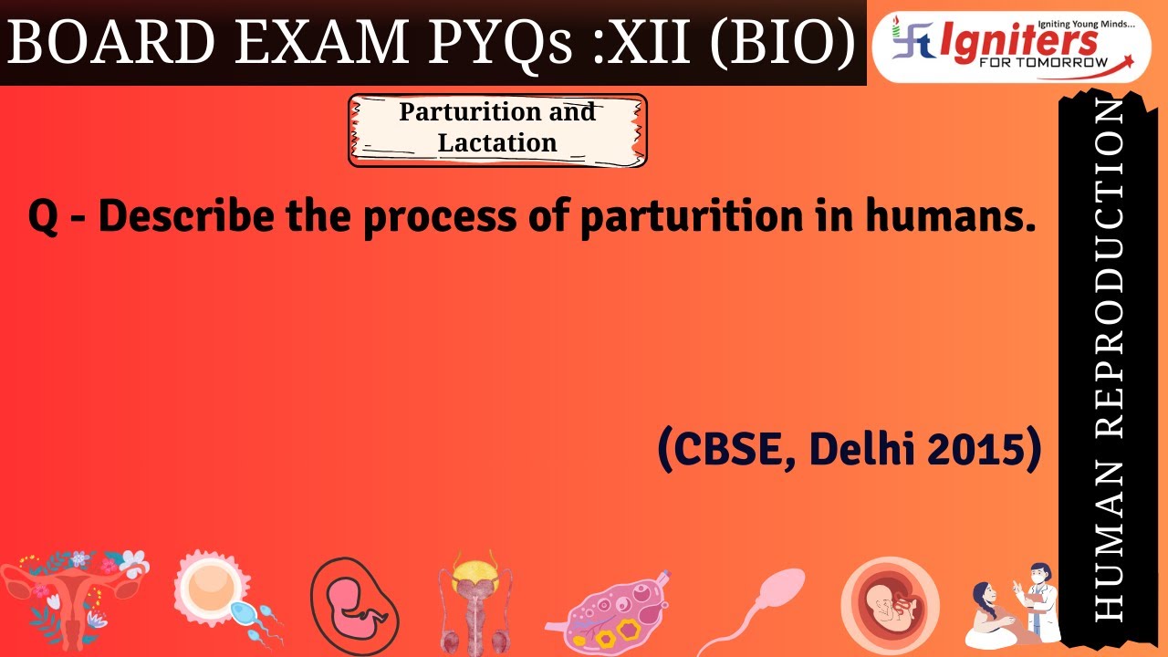 Describe the process of parturition in humans. (CBSE, Delhi 2015) - YouTube