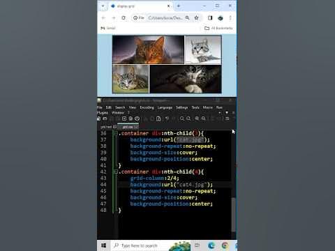 Css Grid Image Gallery #css #coding - YouTube