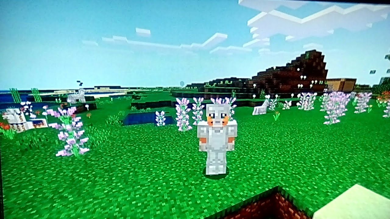 Minecraft - I Found A Wandering Trader's Llama! (3) - YouTube