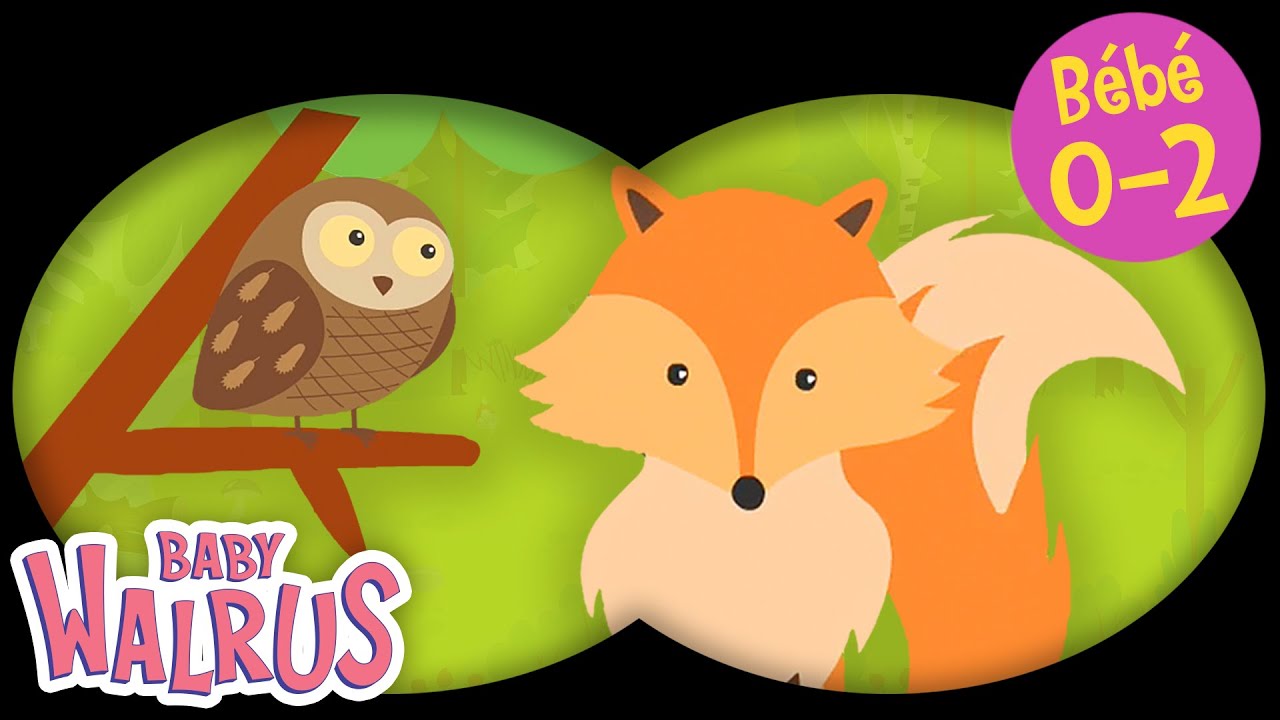 Cache-Cache - Les animaux de la forêt | Série éducative pour les bébés ...