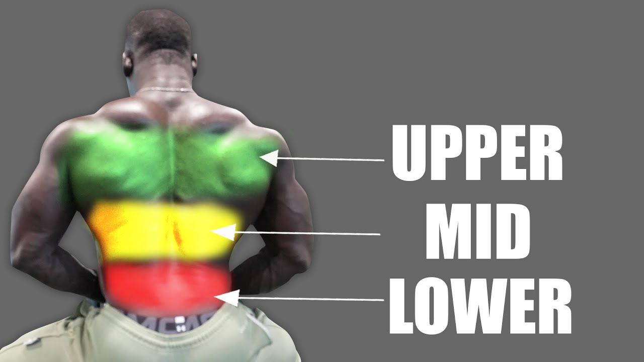 The Best Workout To Build All Parts Of Your Back At Gym (Upper,Mid ...