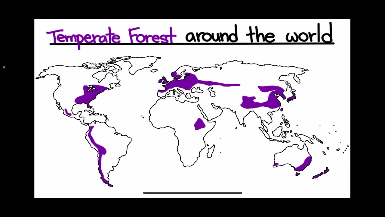 Terrestrial Biomes - Science for Kids - YouTube