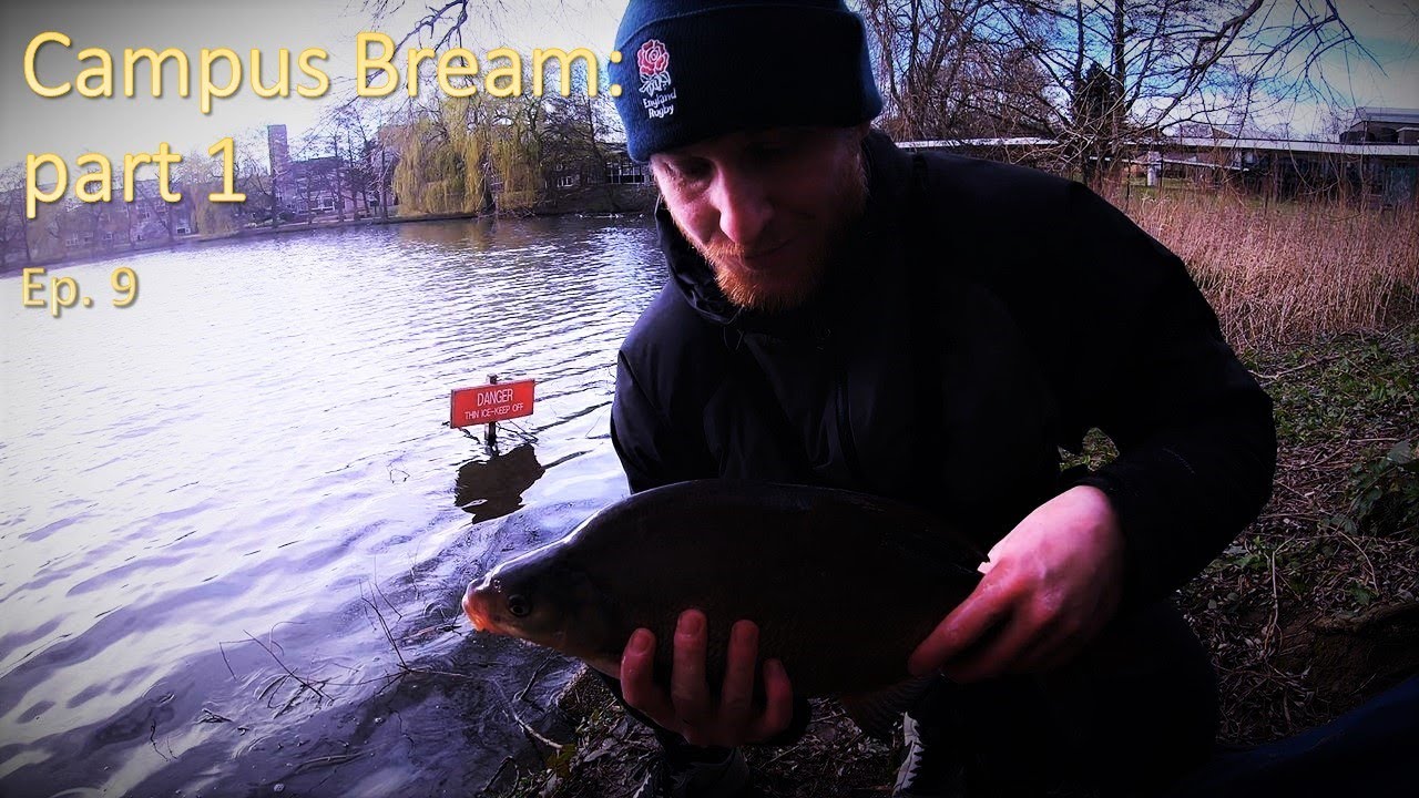 River Foss Fishing - Ep. 9: Feeder Fishing for Bream at the University ...