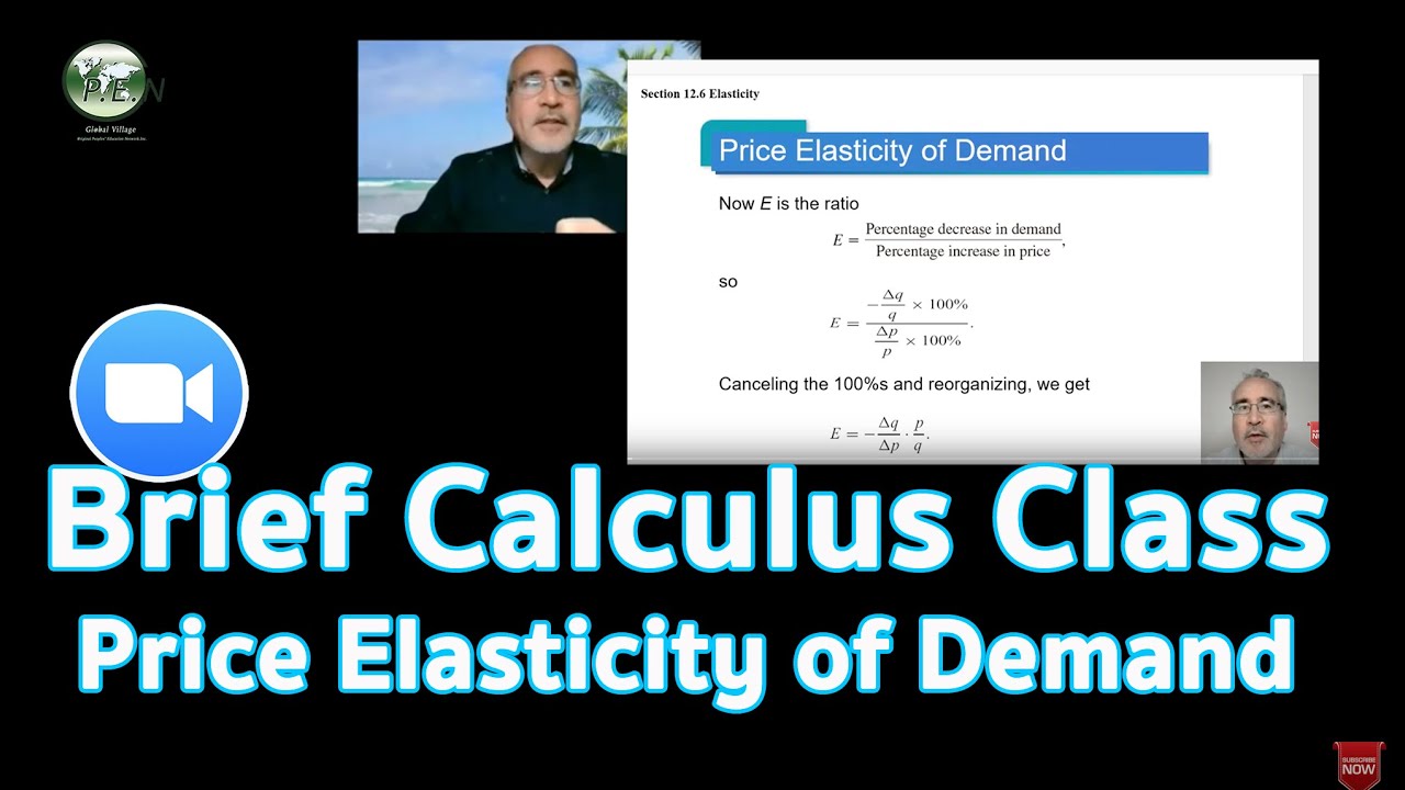 MAT 210 Brief Calculus - Test #2 Review Section 12.6 Elasticity of ...