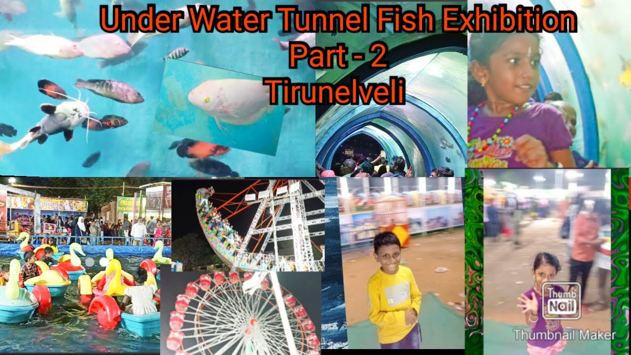 Under Water Fish Aquarium 2023/Under Water Tunnel Fish Exhibition ...