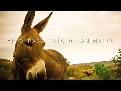TASMA-VID 20221021 WA0028