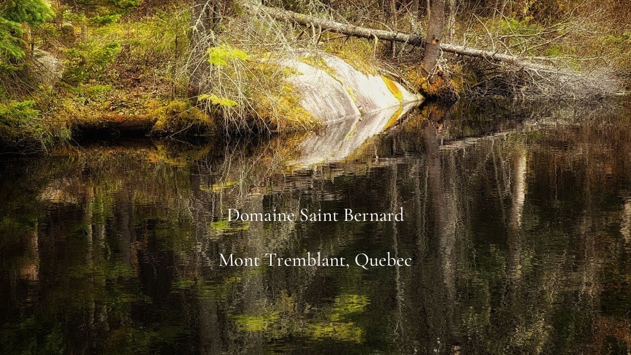 Spring hike in Domaine Saint Bernard, Mont Tremblant Quebec - YouTube
