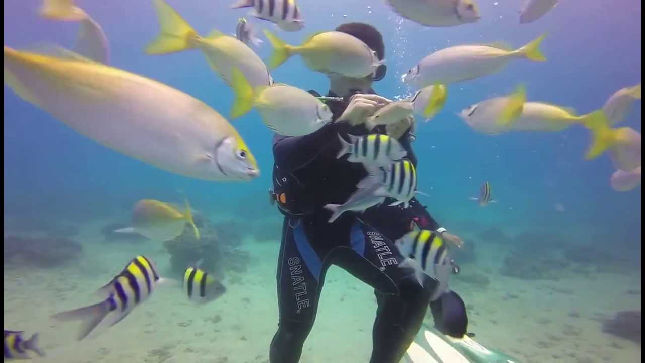 Scuba Diving in Kenting, Taiwan - YouTube