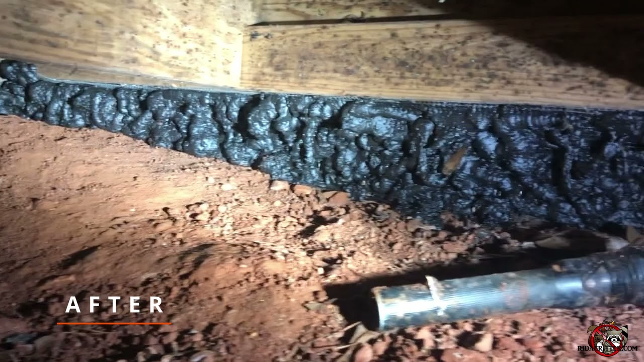 Rat Proofing a Tight Crawl Space at a House in Acworth, Georgia - YouTube