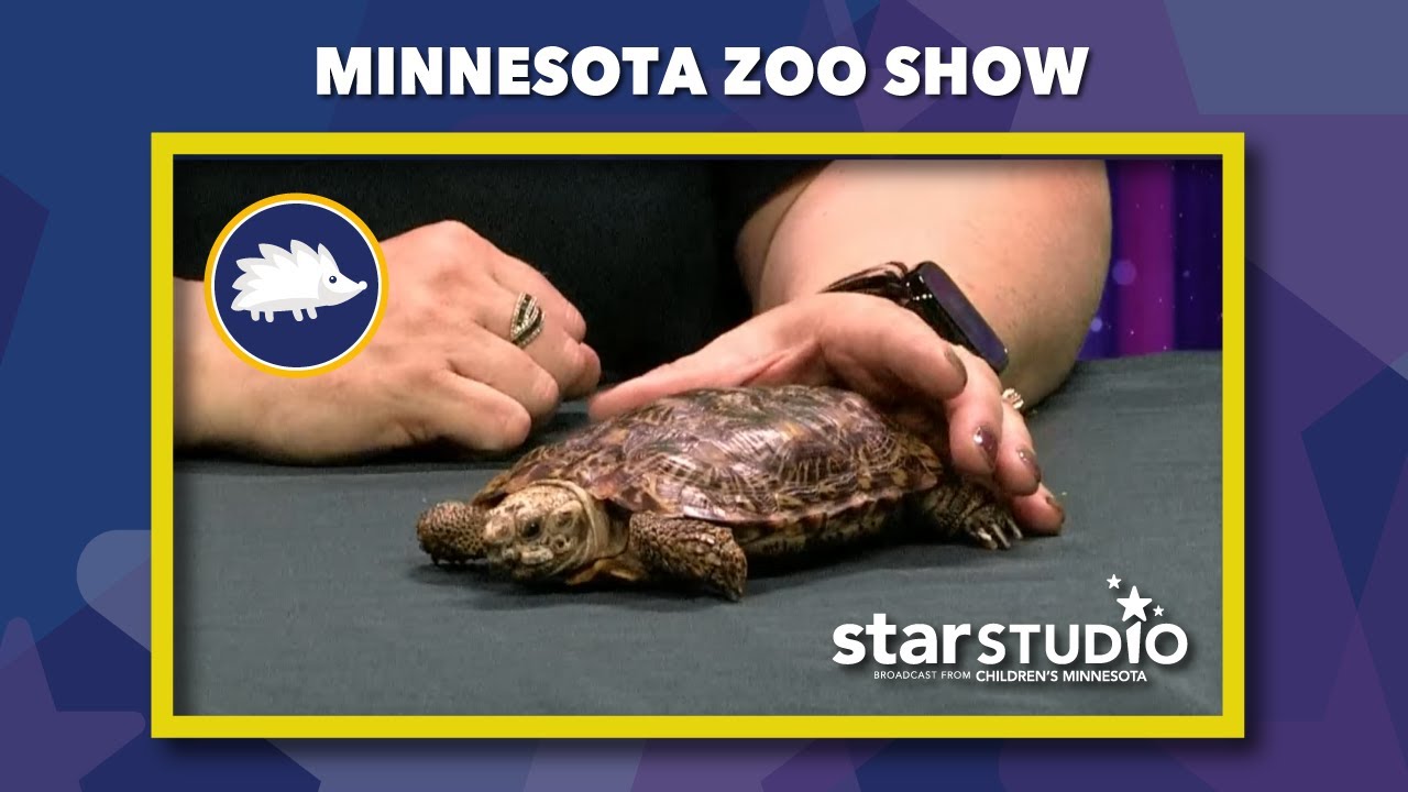 MN Zoo Show — 05/23/24 - YouTube