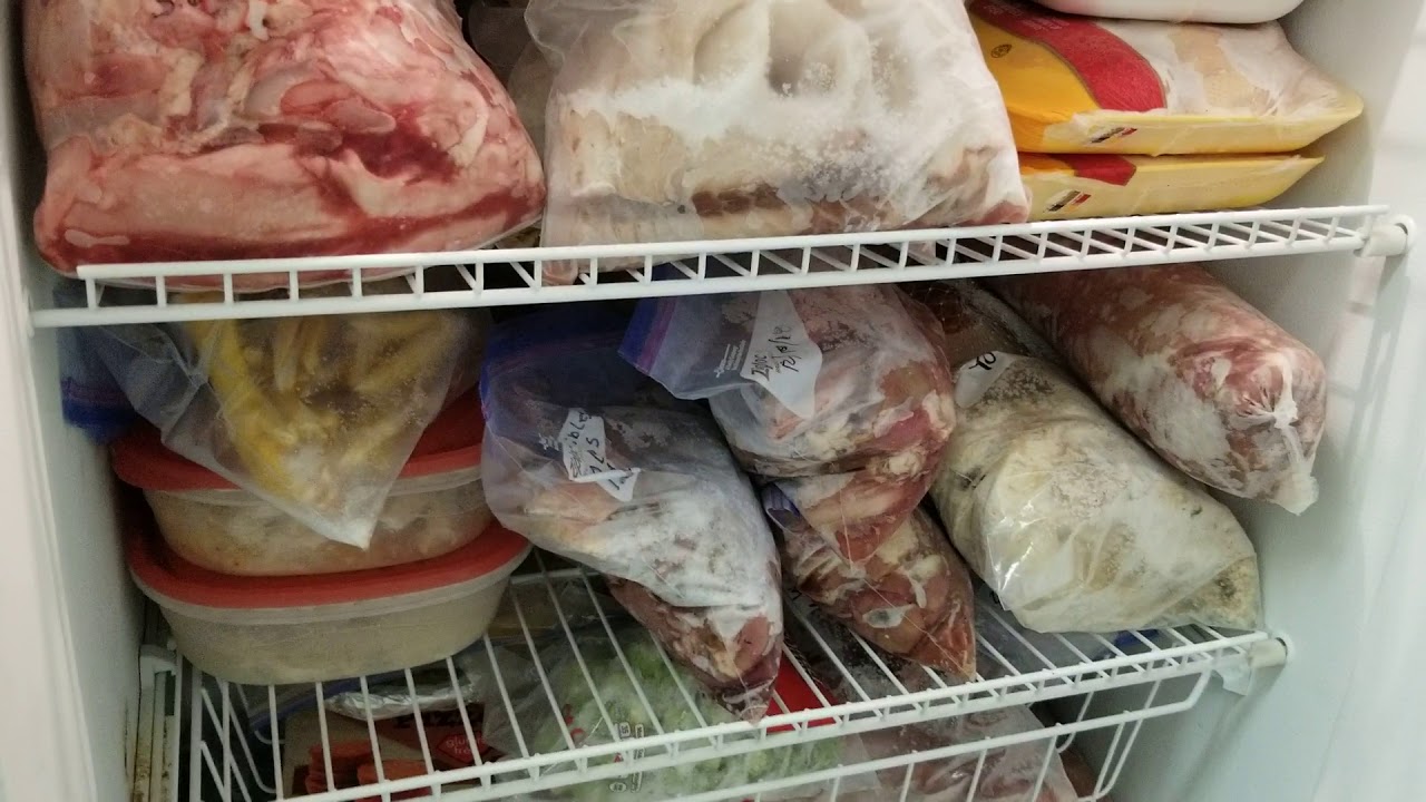 5-21-19 Houston we have a problem. Protein freezer tour. Grow your own ...