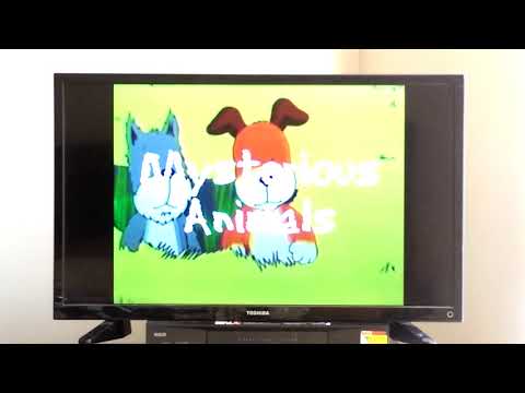 Opening To Barney's Beach Party 2002 VHS