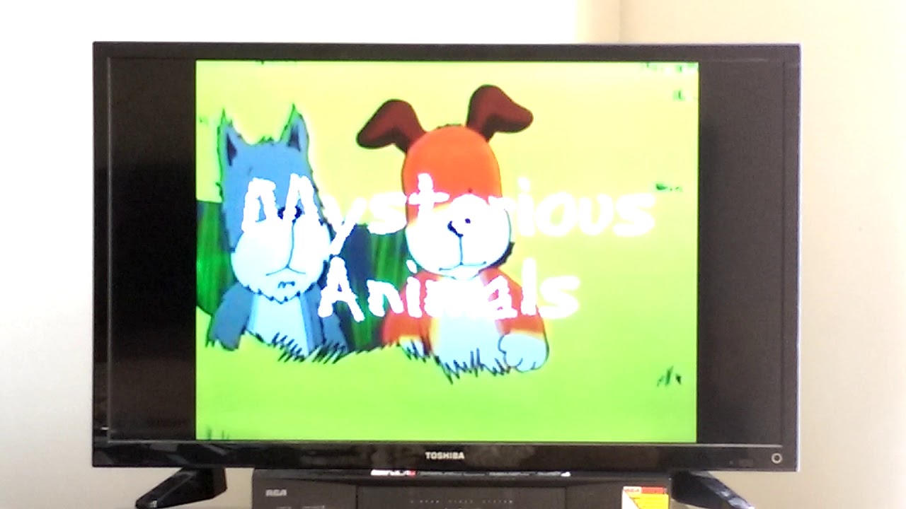 Opening To Barney's Beach Party 2002 VHS - YouTube