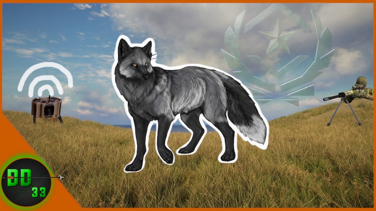 Hunting For Our First GREAT ONE Fox! Call Of The Wild - YouTube