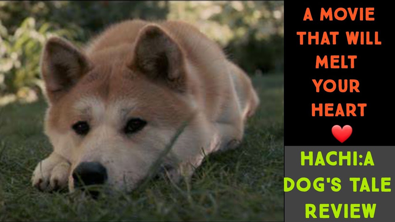 Hachi:A Dog's Tale Review (2009) - YouTube
