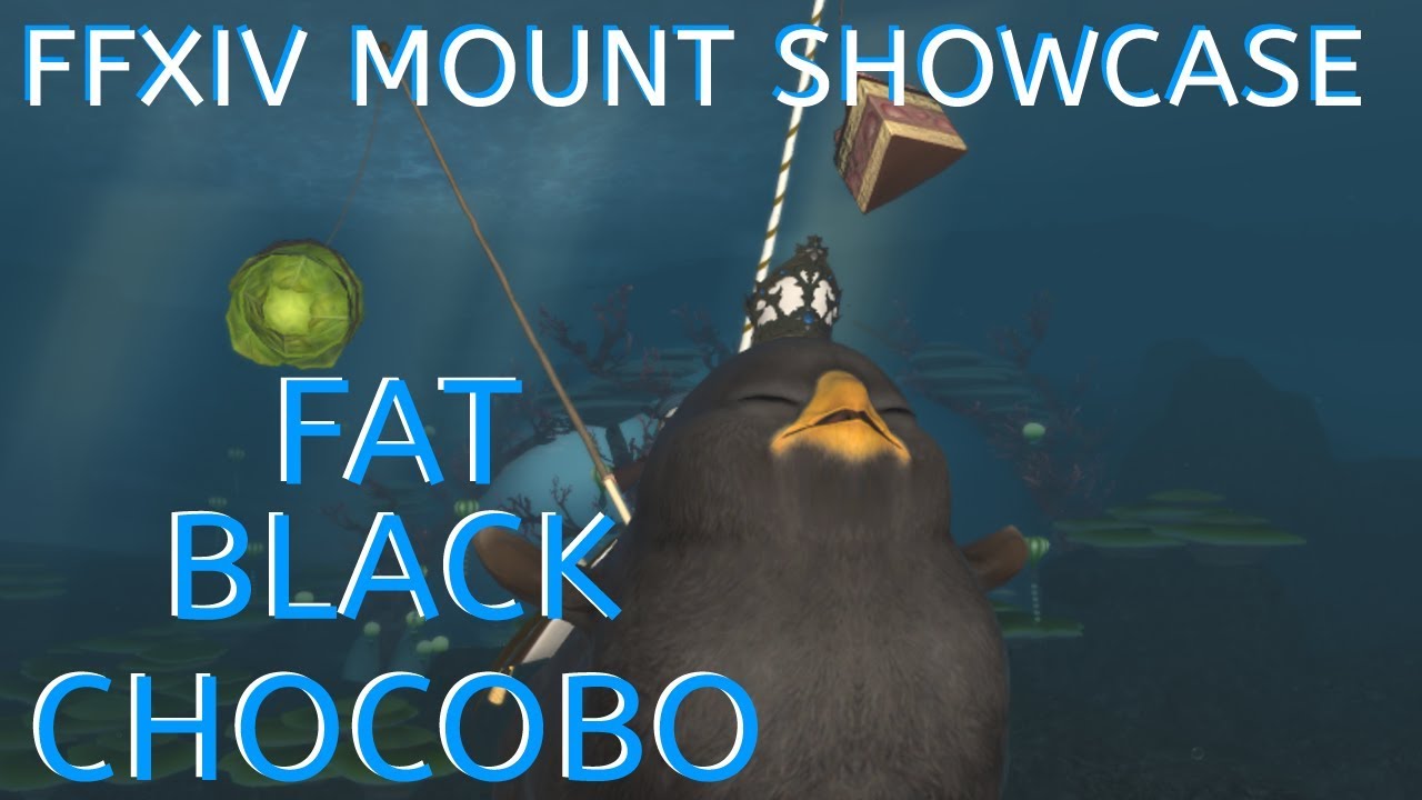 FFXIV Mount Showcase: Fat Black Chocobo - YouTube