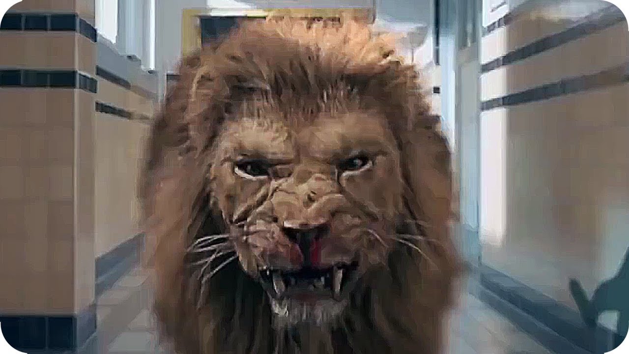 Help!! Scary Real Live Big Lion 🦁 Knocking on my door! - YouTube