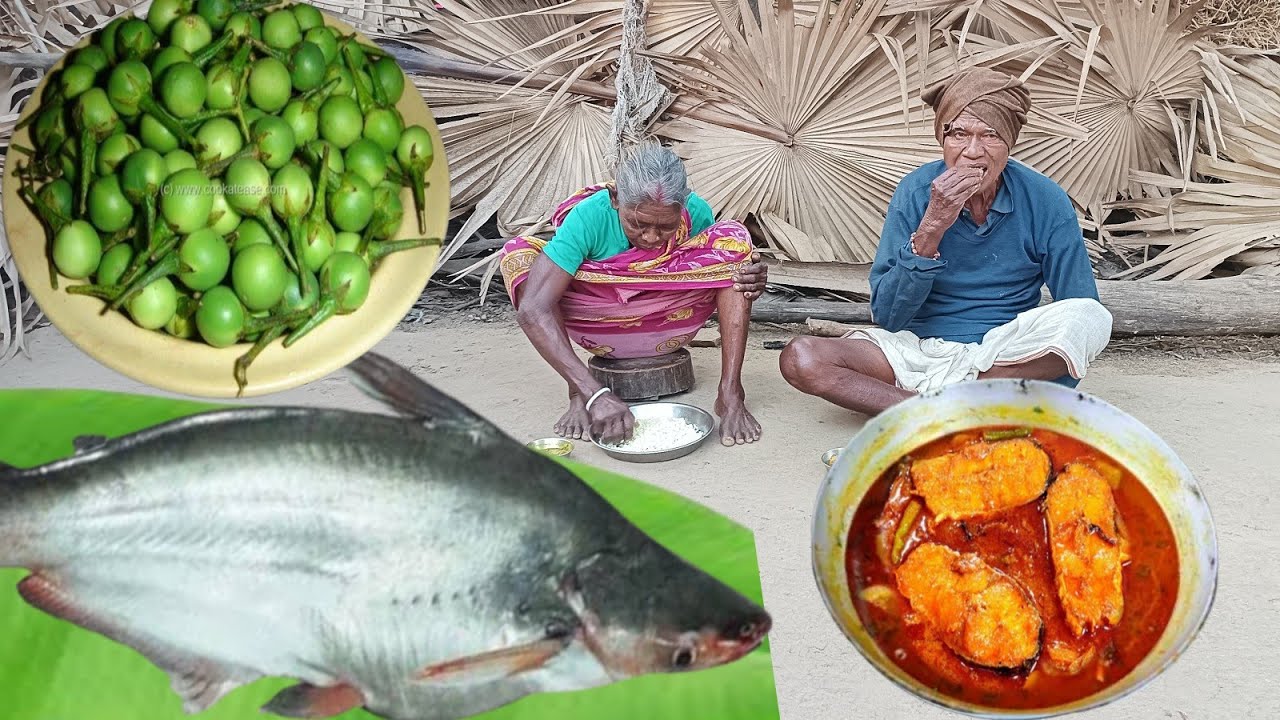 PANGAS FISH CURRY with TITA BUGEN||tribe village GRANDMOTHER cooking ...