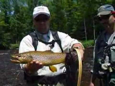 22 INCH WILD BROWN TROUT - YouTube