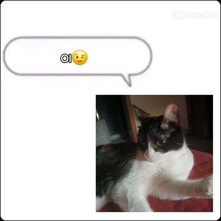 Oi oi meme #memes - YouTube