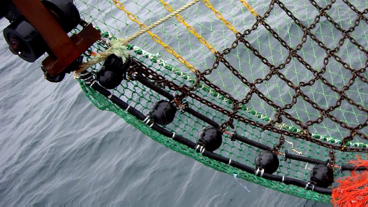 Roller Ball Ground Gear on a Beam Trawl - HD - YouTube