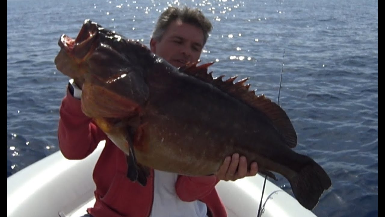 ΡΟΦΟΣ 12KG ΜΕ ΣΙΛΙΚΟΝΗ - YouTube
