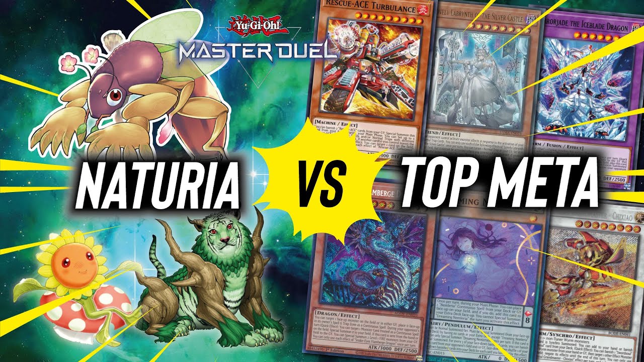 Naturia vs Mata Decks! Rank Match | Master Duel | Season 24 2024 - YouTube