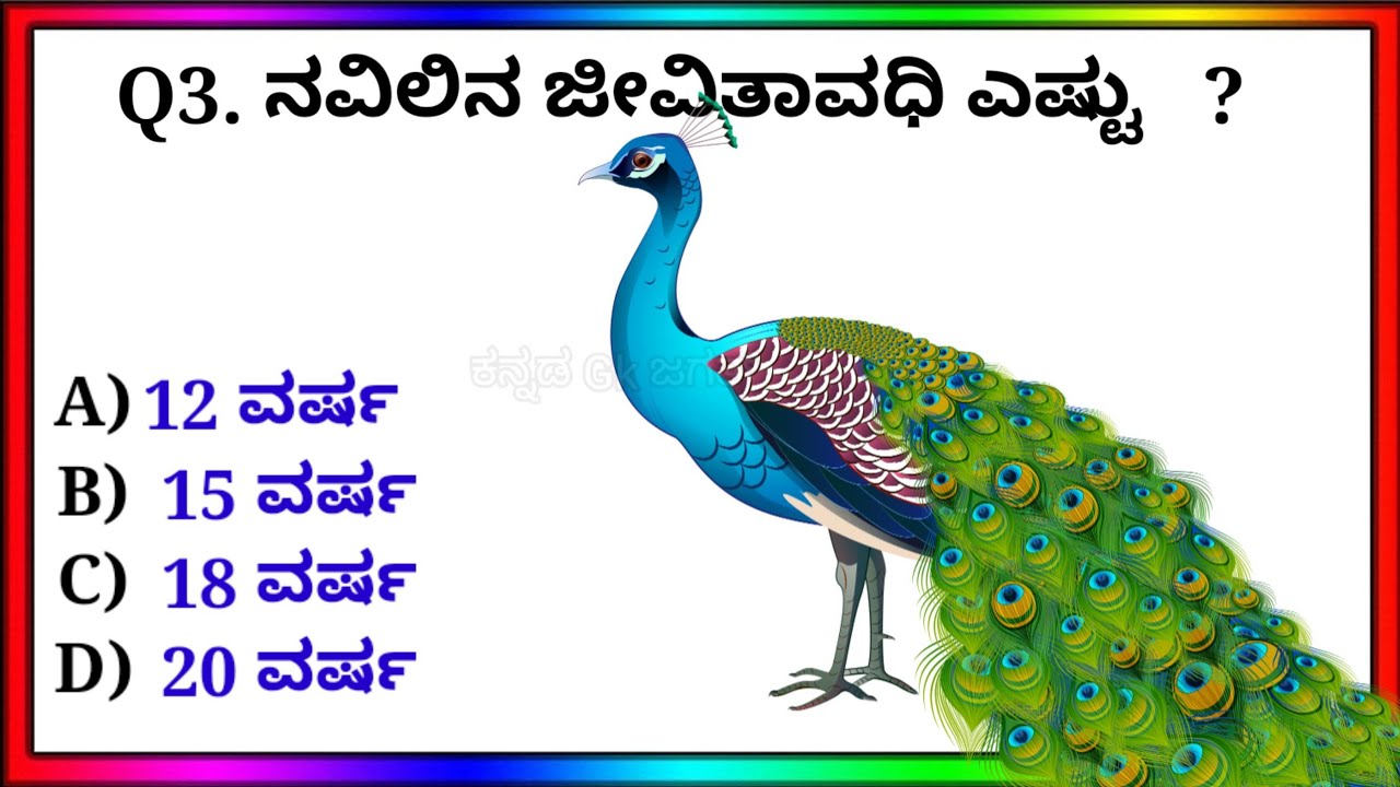 Most Interesting Questions In Kannada Kannada Quiz Questions And most-interesting-questions-in-kannada-kannada-quiz-questions-and
