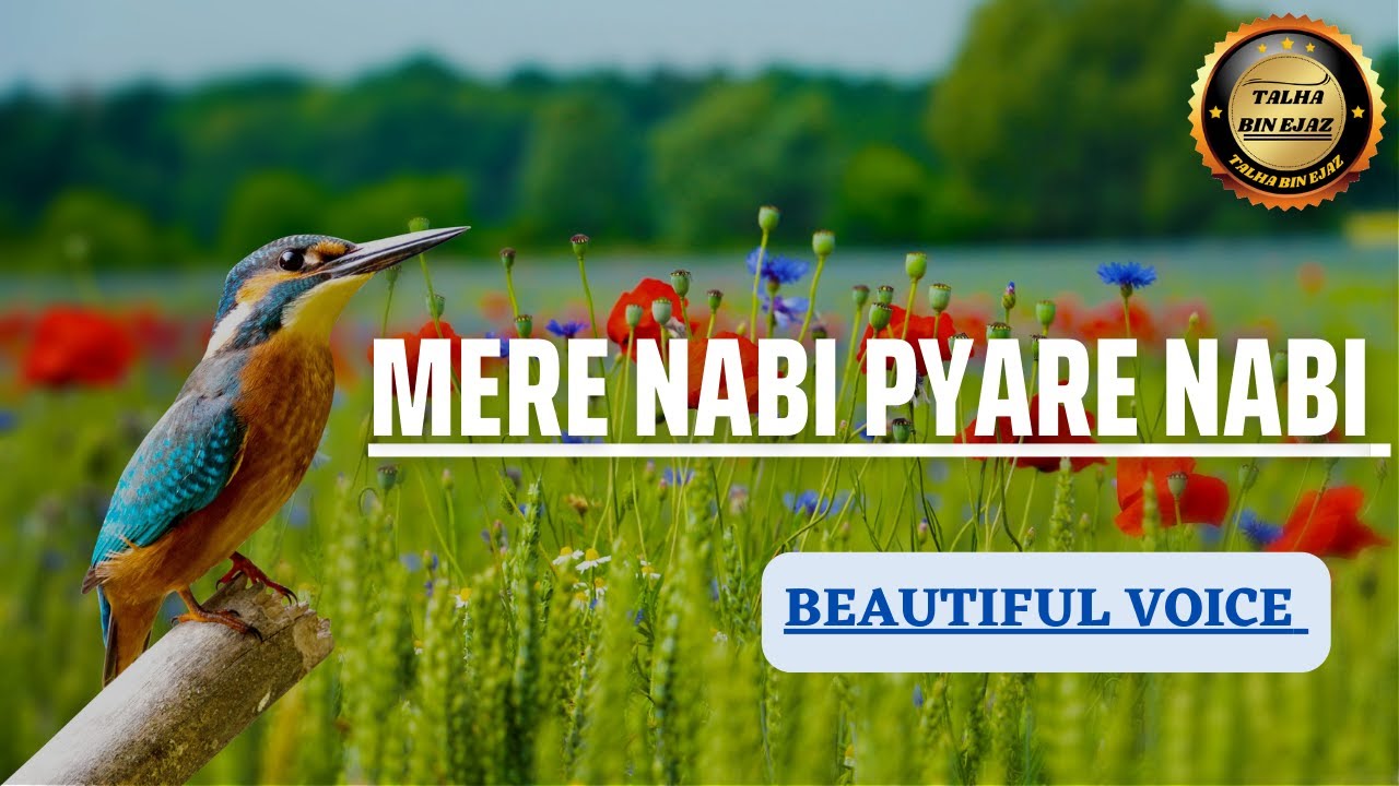 Mere Nabi Pyare Nabi | میرے نبی پیارے نبی | Relaxing Naat 2023 - YouTube