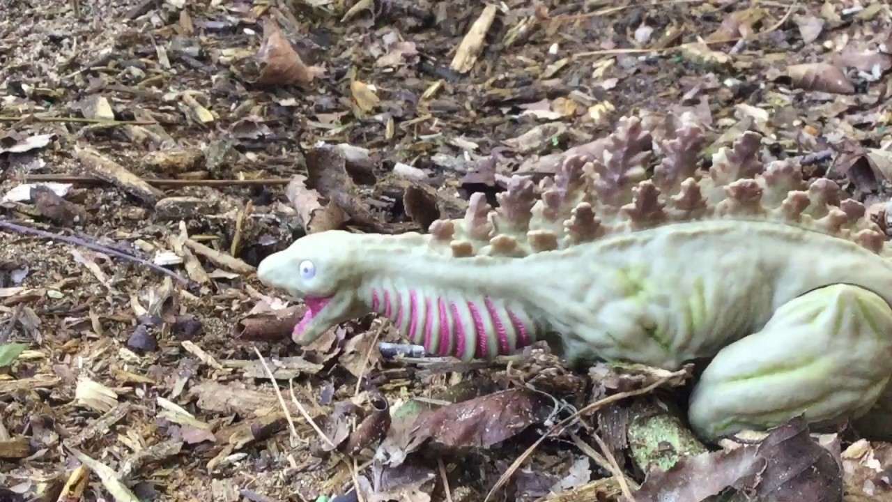 Weird looking salamander. - YouTube