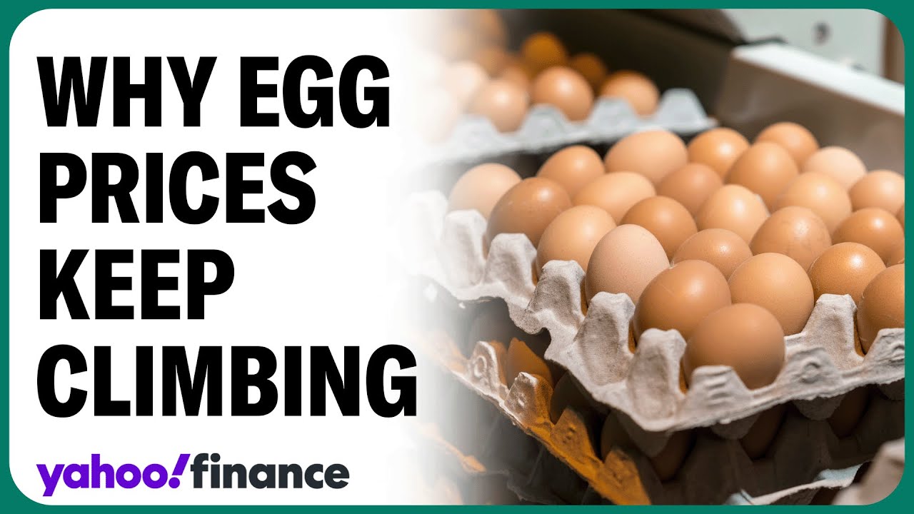 Egg inflation: Why prices keep climbing - YouTube