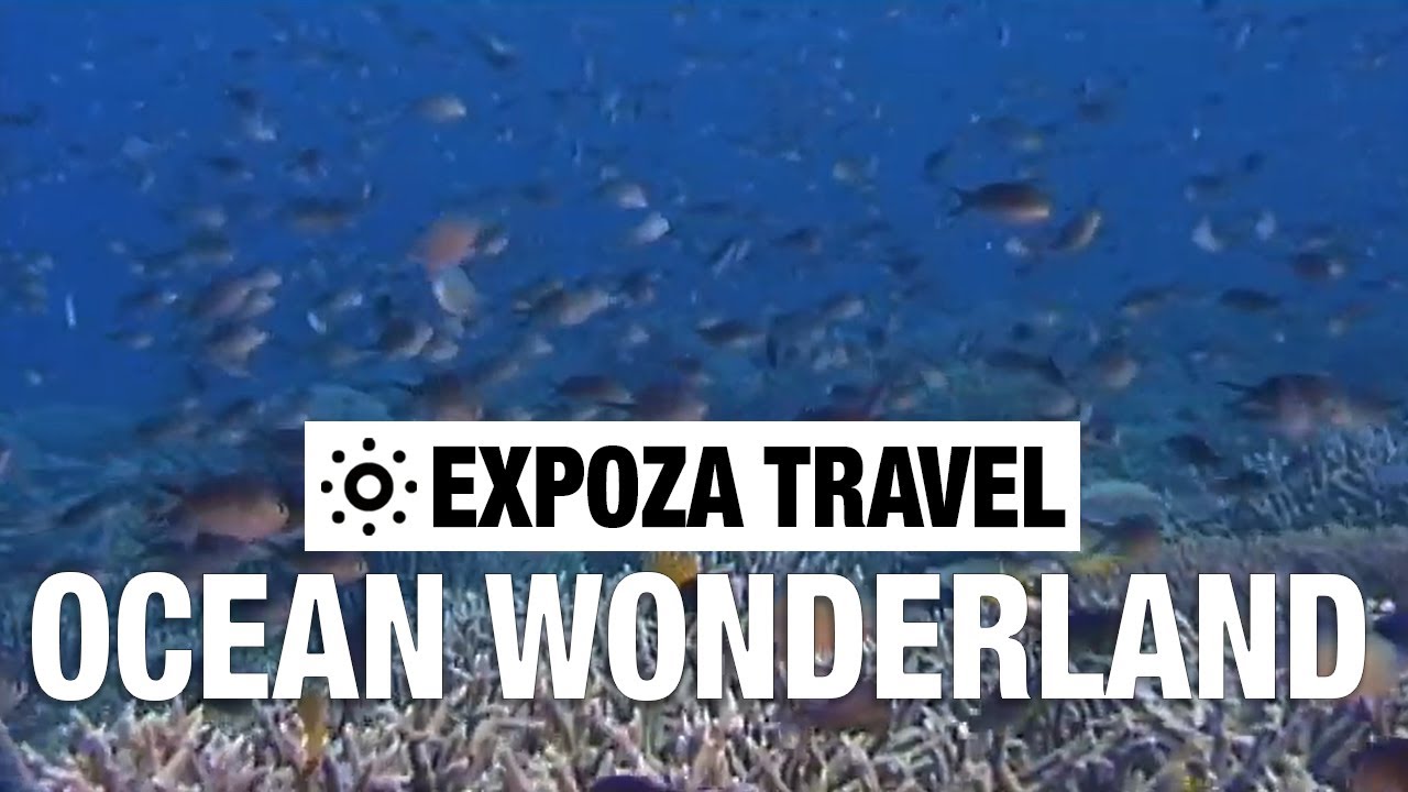 Ocean Wonderland Vacation Travel Video Guide - YouTube