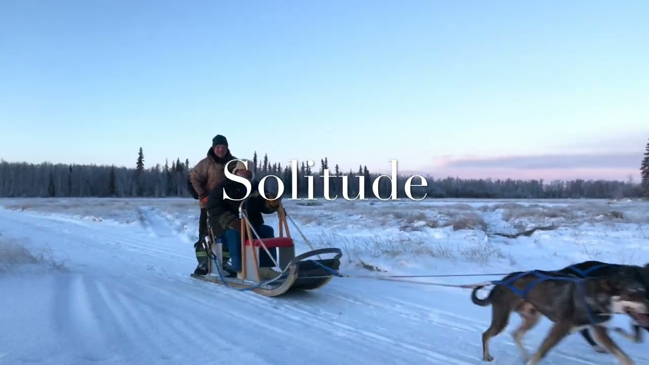 Dog Sledding in Alaska's Winter wonderland - YouTube