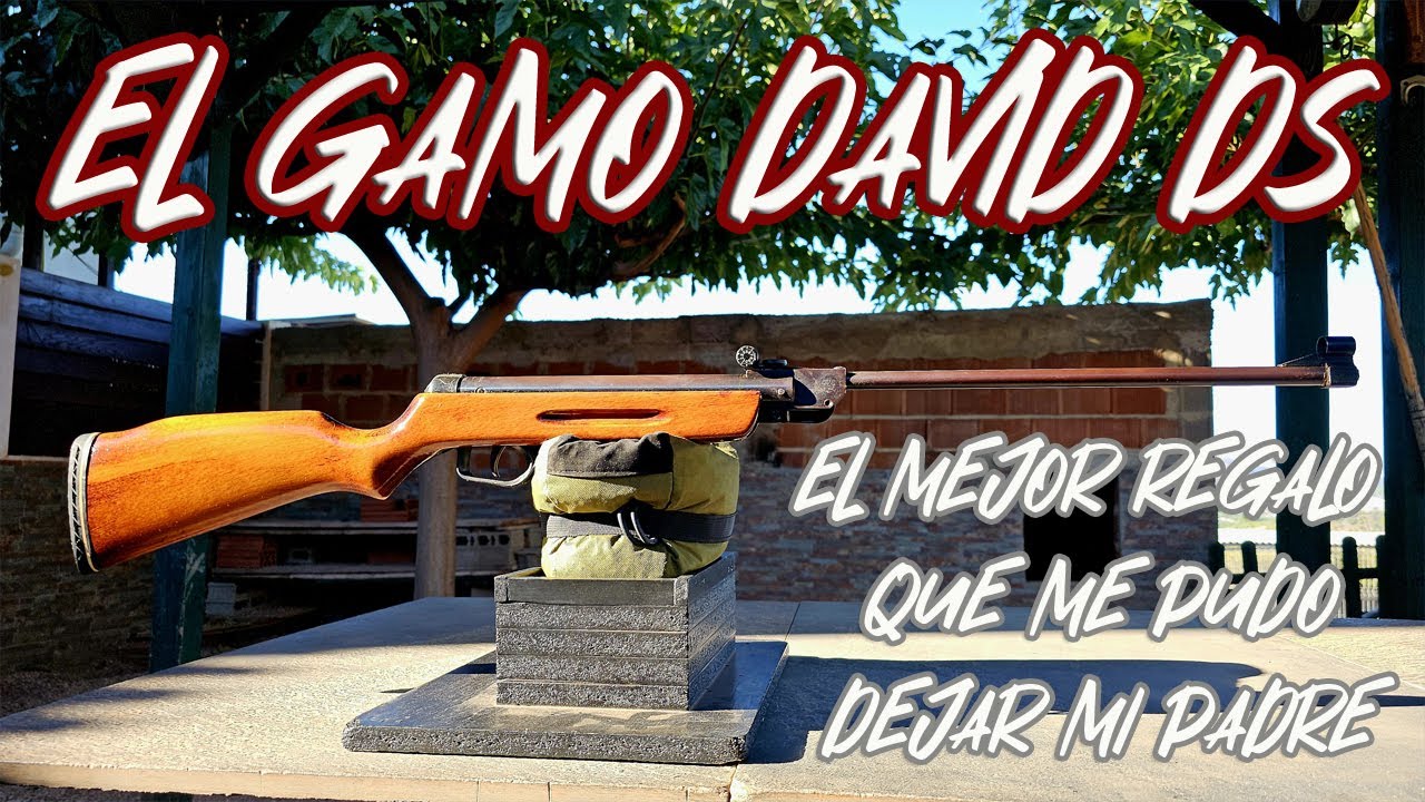 TIRADA CON EL GAMO DAVID DS, CARABINA DE MI PADRE - YouTube