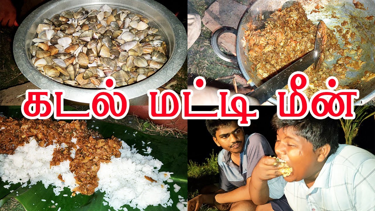 கடல் மட்டி மீன் | Matti kalli fry in village ( tamil ) | Shellfish ...