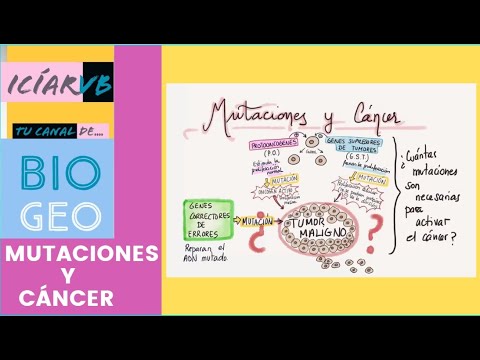 Mutaciones y Cáncer - YouTube
