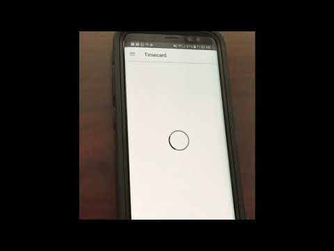 Pan American Properties ADP - Punching in and out - YouTube