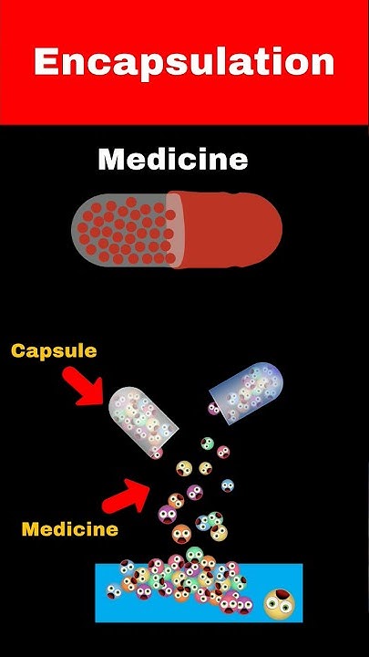 Encapsulation With Real World Example Programming Coding Dsa Sorting Coder Youtube