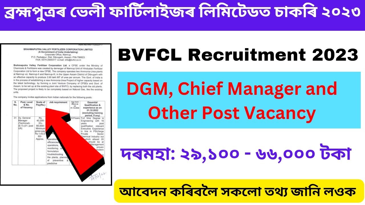 BVFCL New Recruitment 2023 || Assam Job || Assam Govt Job 2022 || Job ...