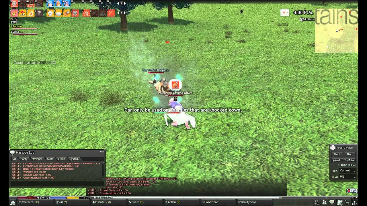 Mabinogi - Dynamic Combat Mage Test - YouTube