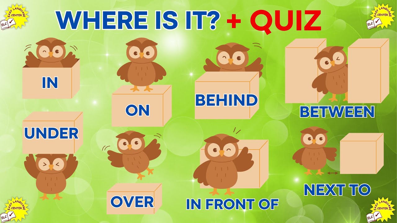 Where Is The Owl? Is The Owl In The Box? English Prepositions of Place ...