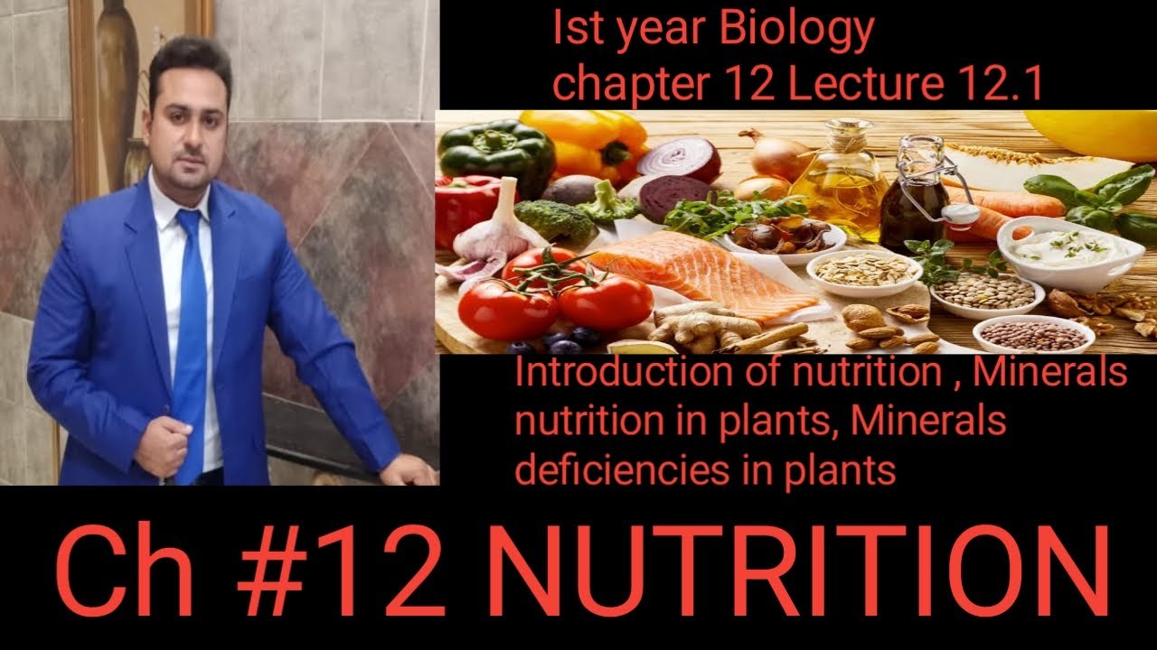 Ch 12 Nutrition Lecture 12.1 - YouTube
