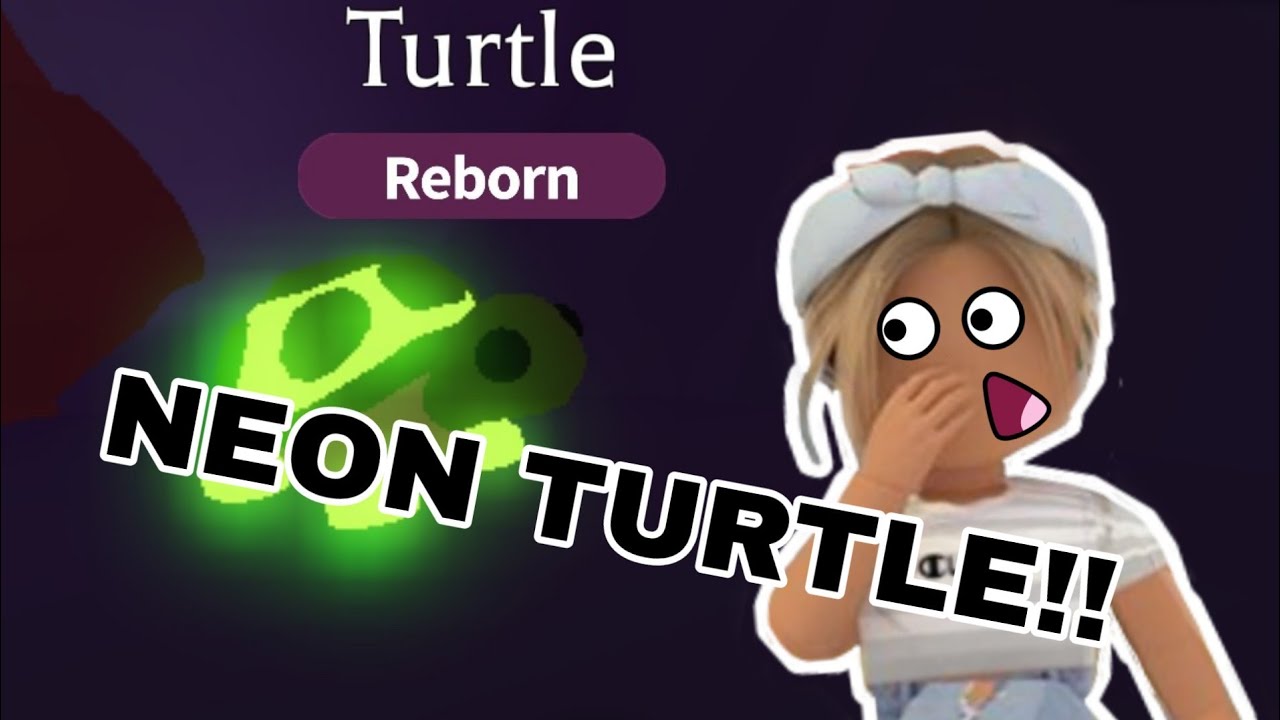 Making a Neon Turtle! - YouTube