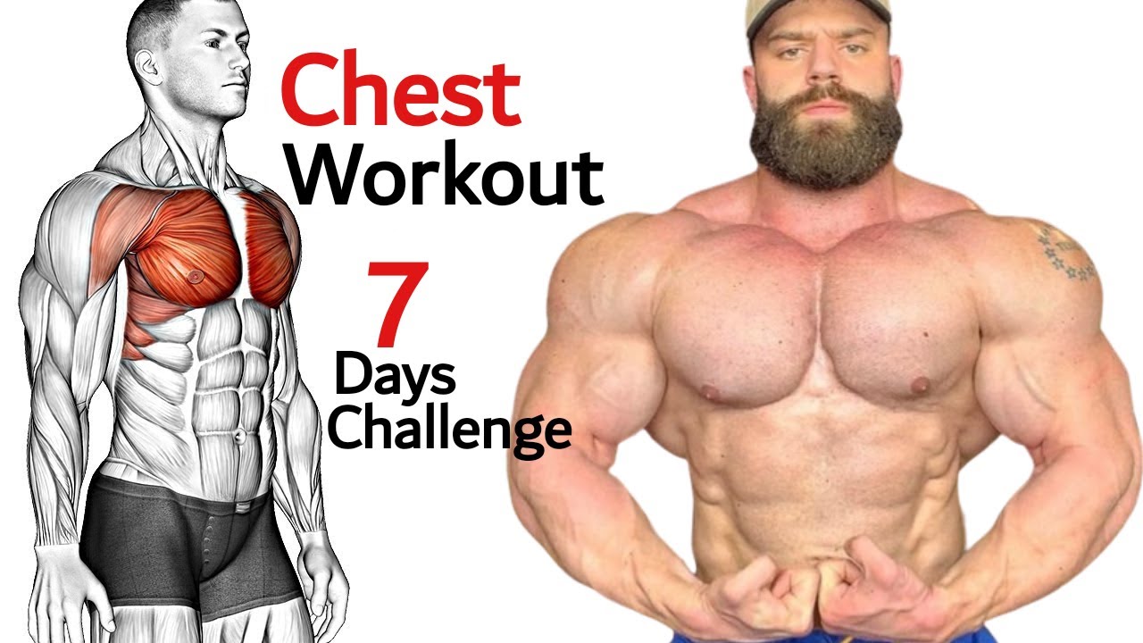 Chest workout (Grow your chest in 7 days) - YouTube