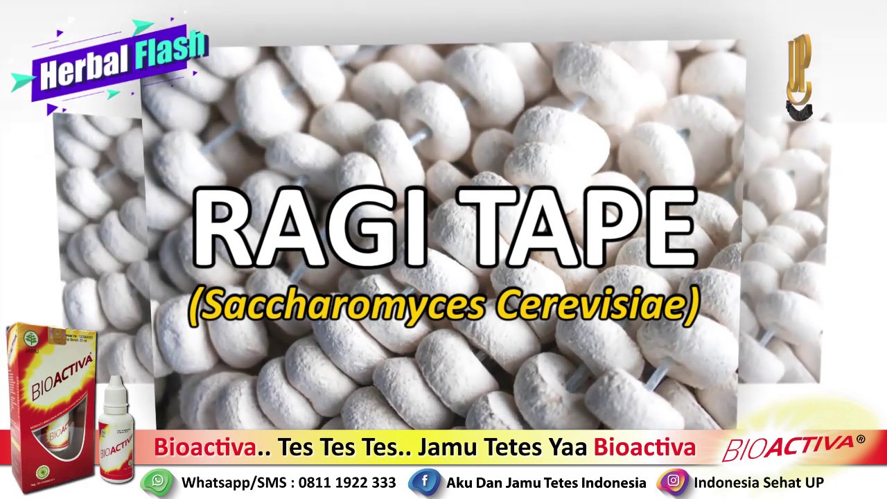 Ragi Tape part 2 - YouTube