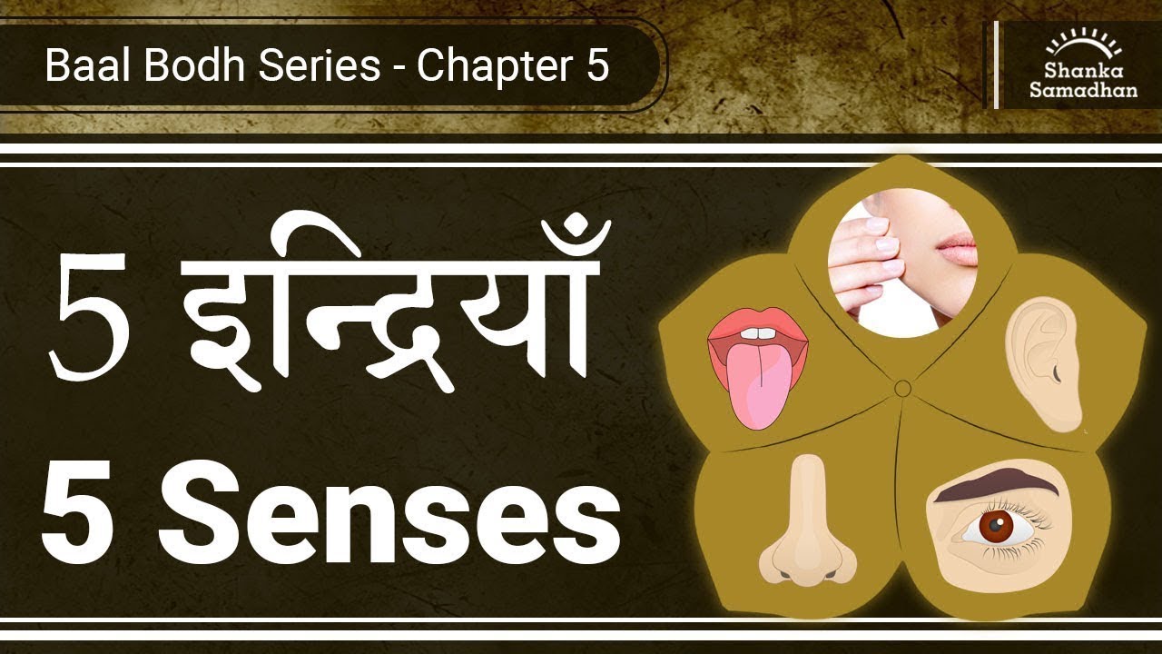 पाँच इंद्रियाँ I Five Senses| बाल बोध | जैन कहानियाँ | Jain Stories ...