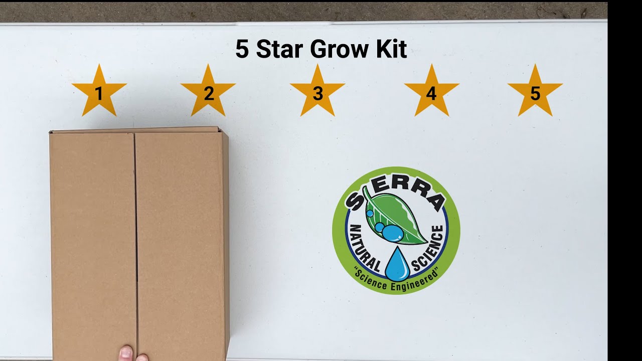 What's in the 5 Star Kit - YouTube