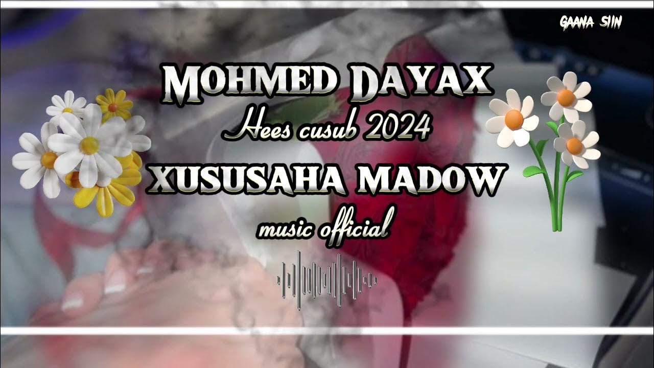 HEES CUSUB || MOHAMED DAYAX || XASUUSAHA MADOW ___ Vidio Official ___2024 - YouTube