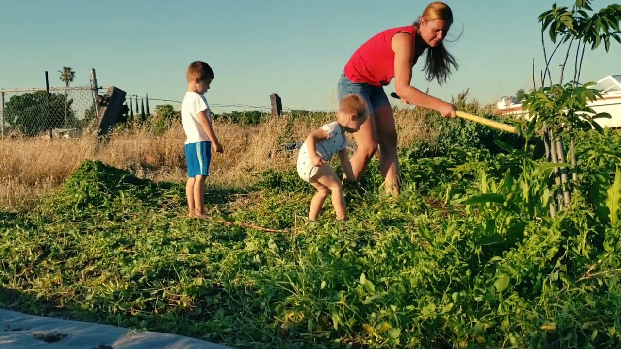 Farming - YouTube